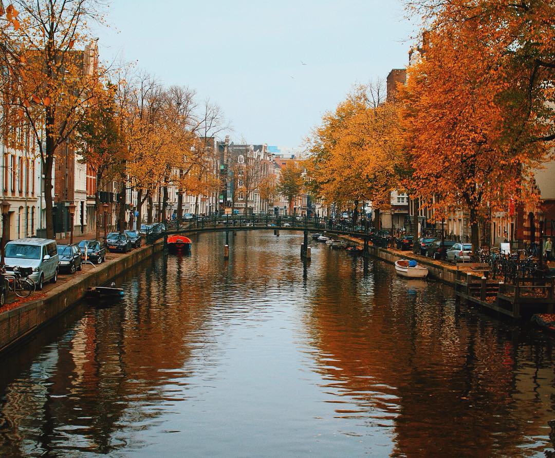 How to Spend 48 Amazing Hours in Amsterdam - The Abroad Connection
