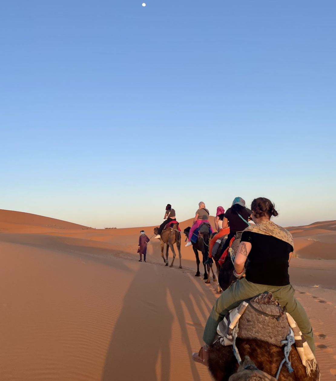 Do you want to study abroad in the Fall, Spring, or Summer semester ...